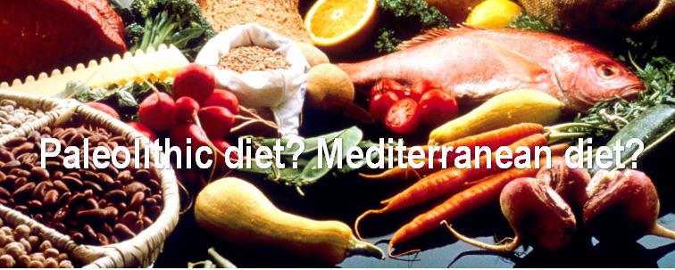 Paleo and Mediterranean diet patterns associated with less ...